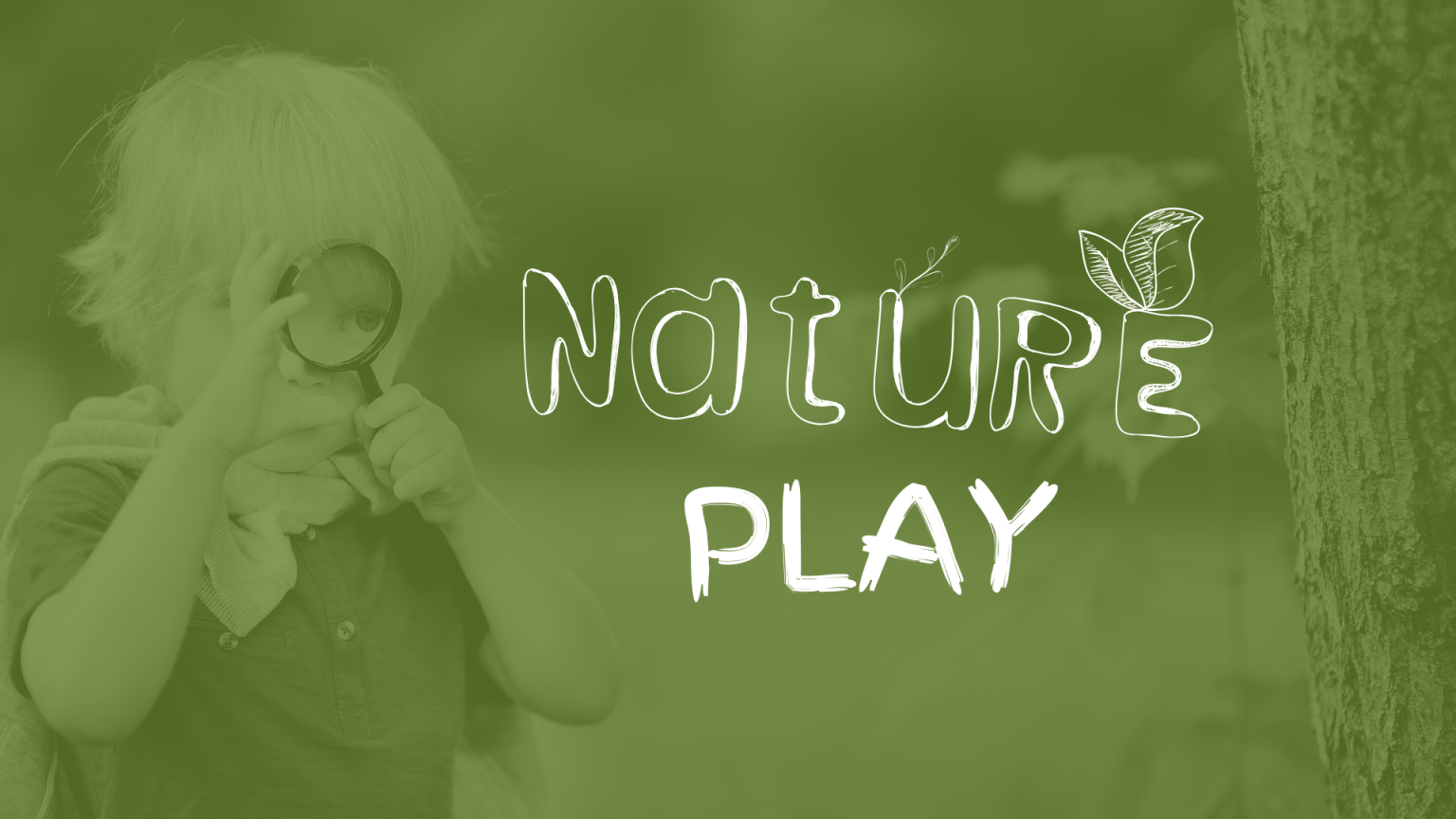 Tilligerry Nature Play - Port Stephens Family and Neighbourhood Services